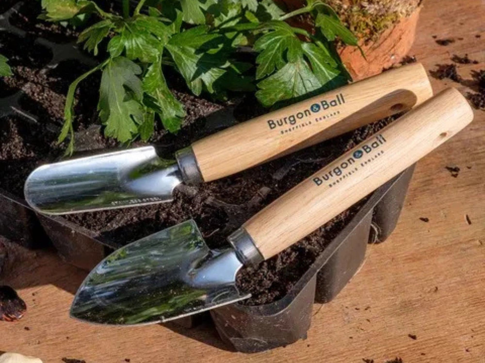 Plantenstekers met watervaste stift - Hazenberg Tuinkassen & Orangerieën